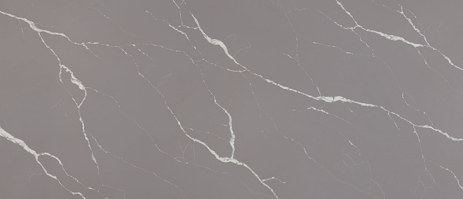 MSI Surfaces - Calacatta Laza Grigio Quartz Countertop