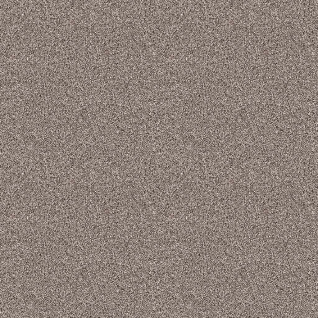 Shaw INFLUENCER 100% High Performance PET Carpet