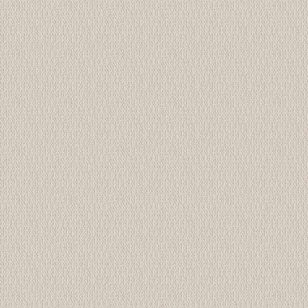 Shaw LOOP DE LOOP Polyester Carpet